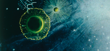 Alien Ocean Wins the 2017 J.I. Staley Prize – UC Press Blog