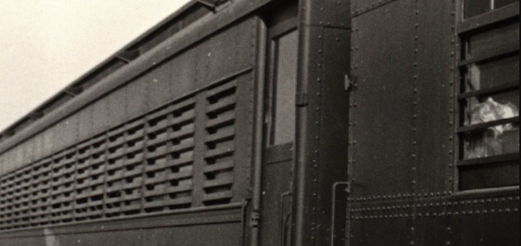 How American Deportation Trains Represent a Century of American ...