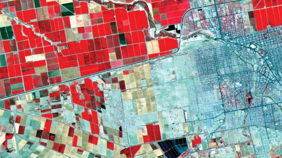 The Chilling Truth Behind Silicon Valley’s Surveillance of Immigrants ...